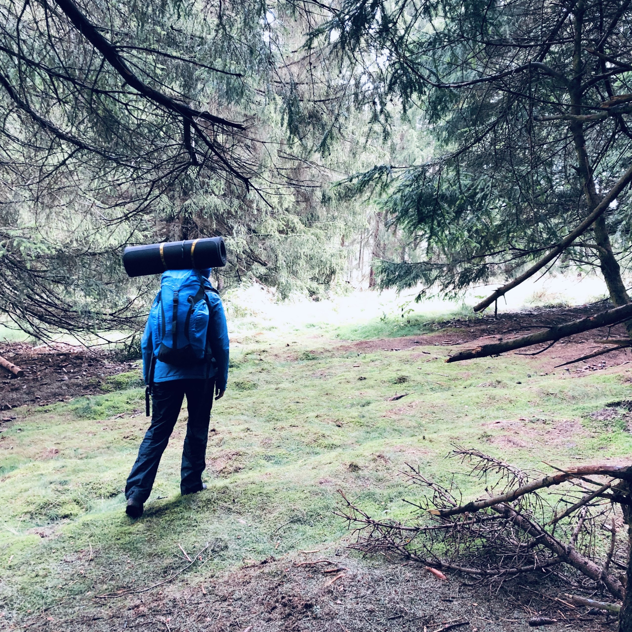 Survival Trip: 24 Stunden Wald und wieder zurück – Adebars Töchter